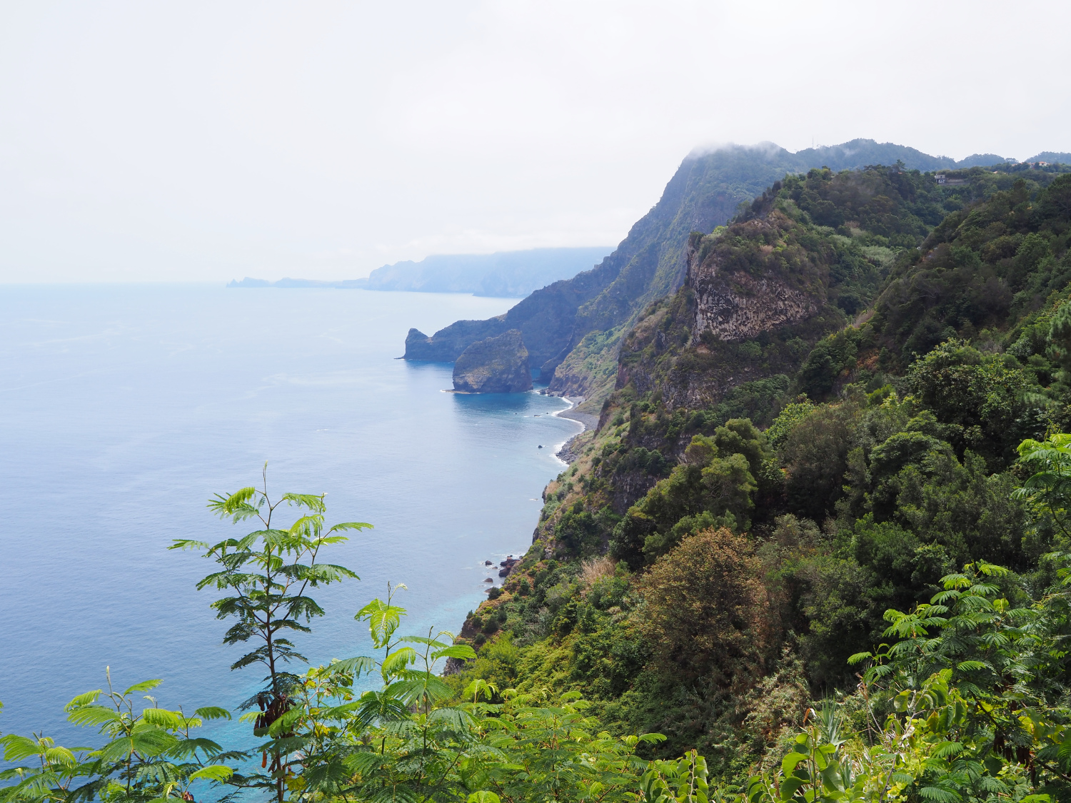 Madeira: cosa vedere in 7 giorni - Viaggiolibera